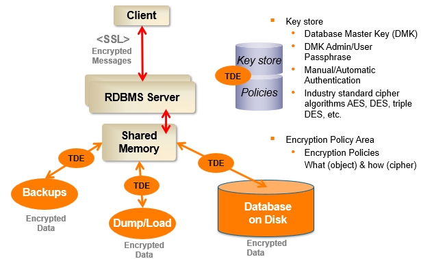 Guide for OpenEdge Transparent Data Encryption (TDE) - Progress Community